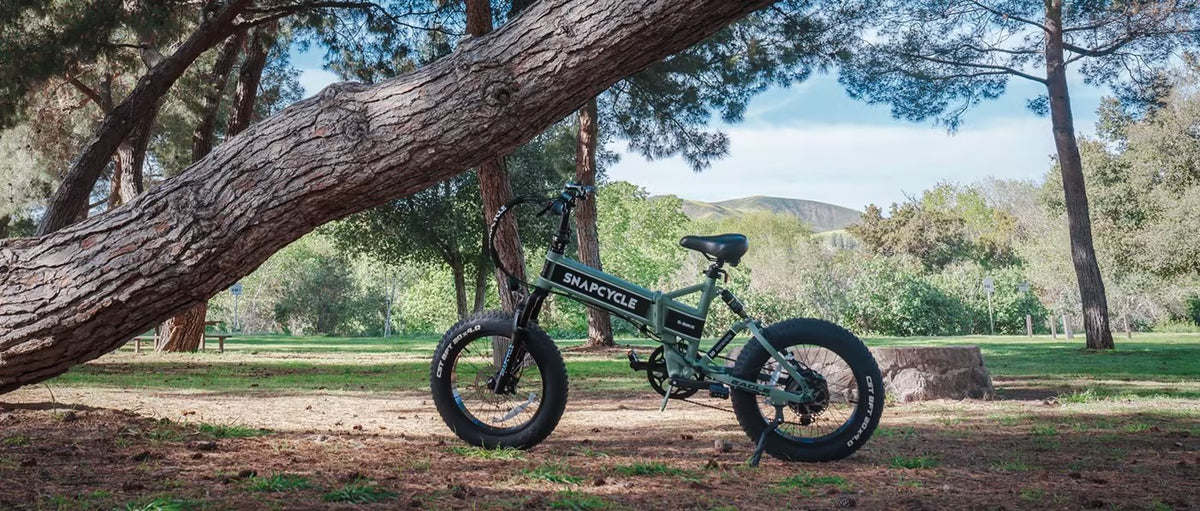 Exploring the Versatility of Folding Ebikes: My Snapcycle Eagle Summer ...