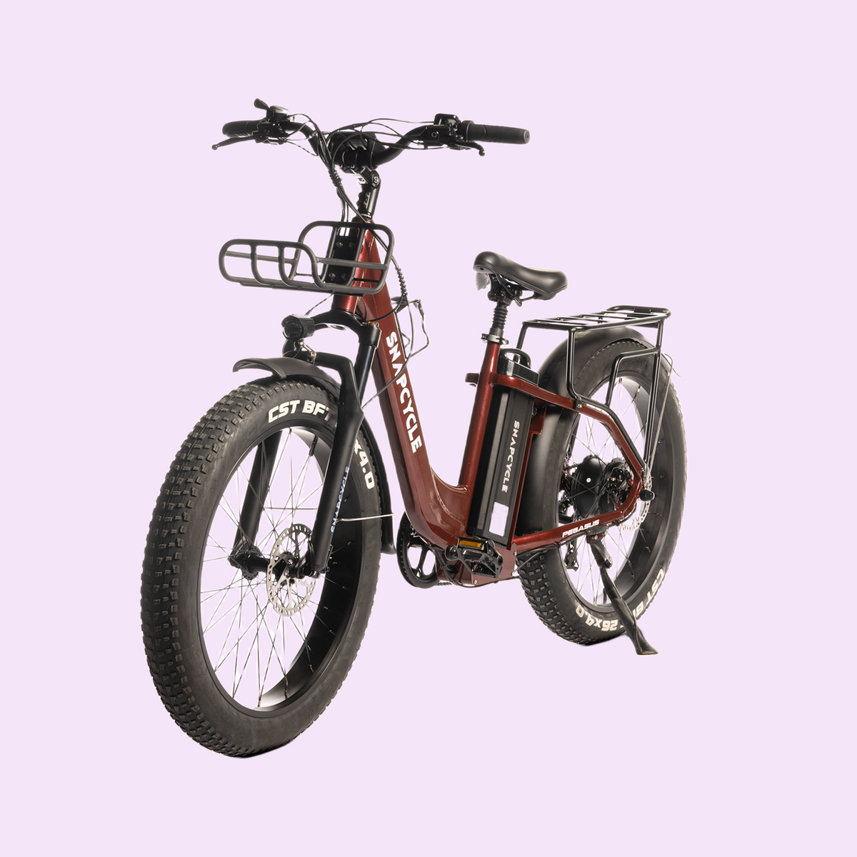 The Premium Ebike Store for Fat Tire Electric Bikes | Snapcycle ...