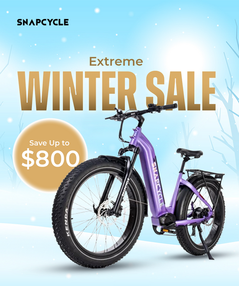 The Premium Ebike Store for Fat Tire Electric Bikes | Snapcycle ...